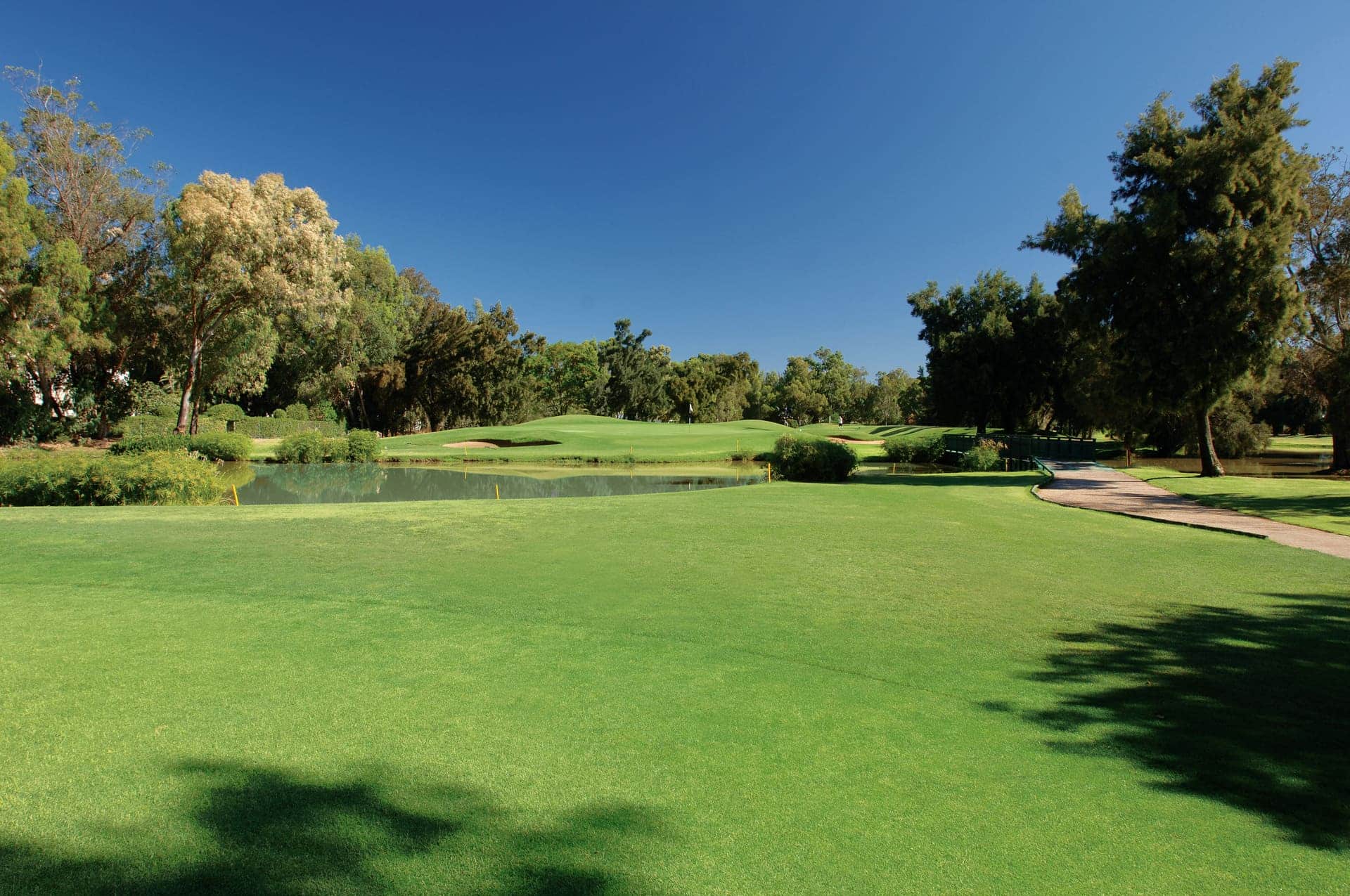 Penina Championship